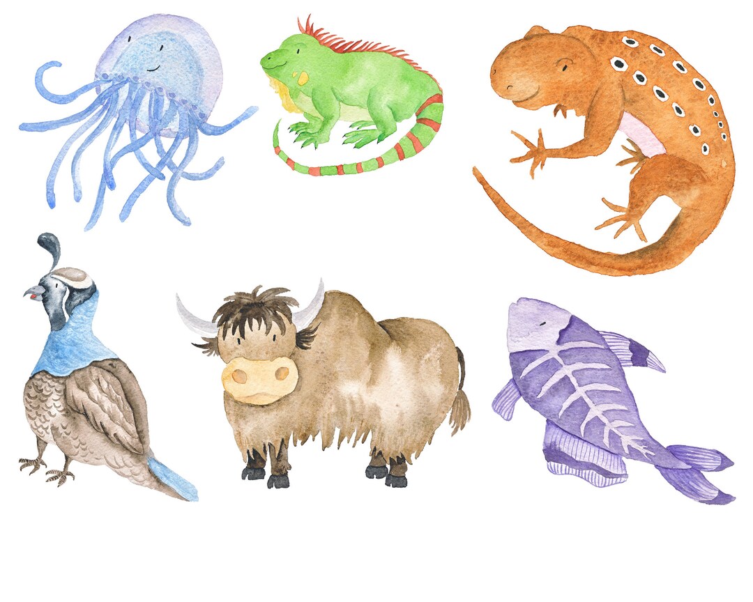 Watercolor Animals | Set of 7 | Instant Download Files | Digital PNG ...