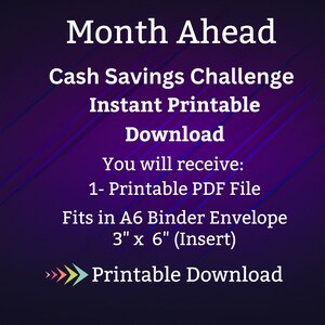 A6 Monthly Budget Savings Challenge Printable for Month Ahead Paycheck ...