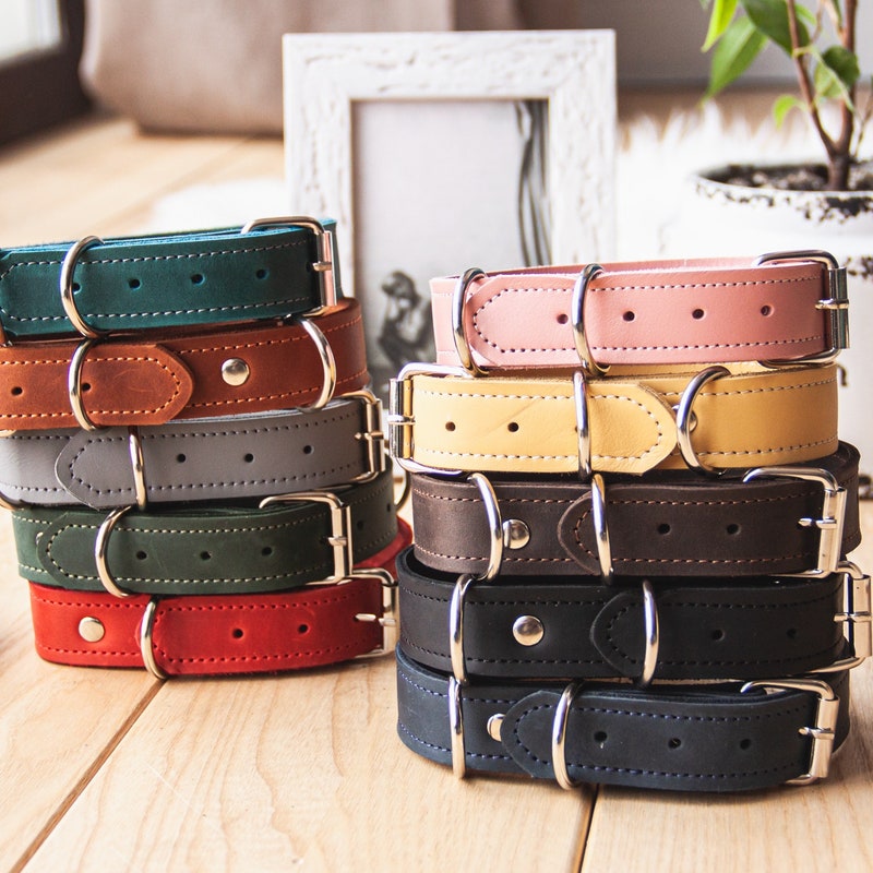 Dog Collars - Etsy