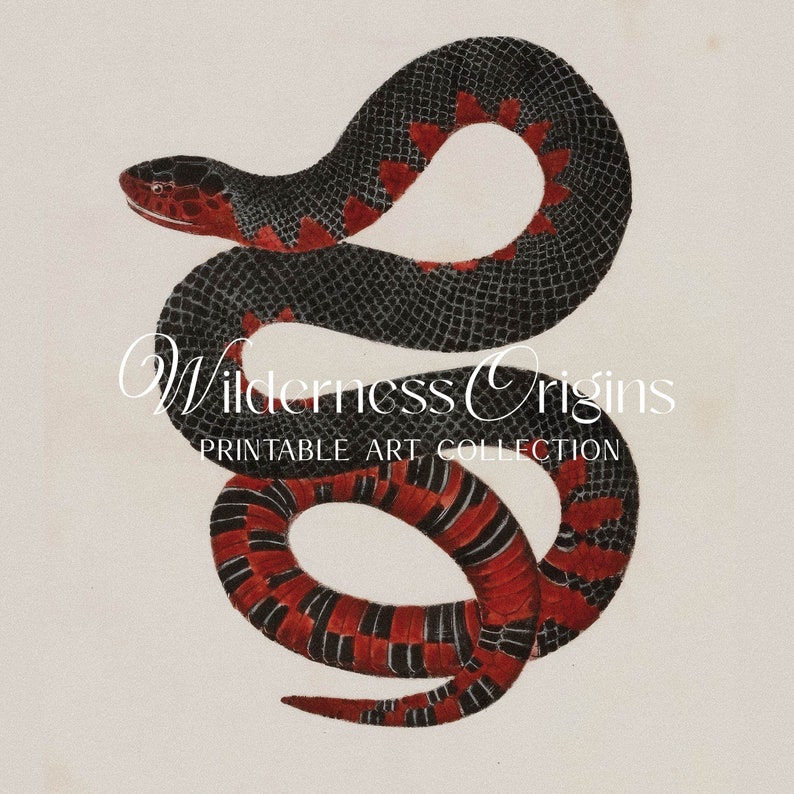 Vintage Mud Snake Print, Dark Academia Wall Art (digital Download) - Etsy