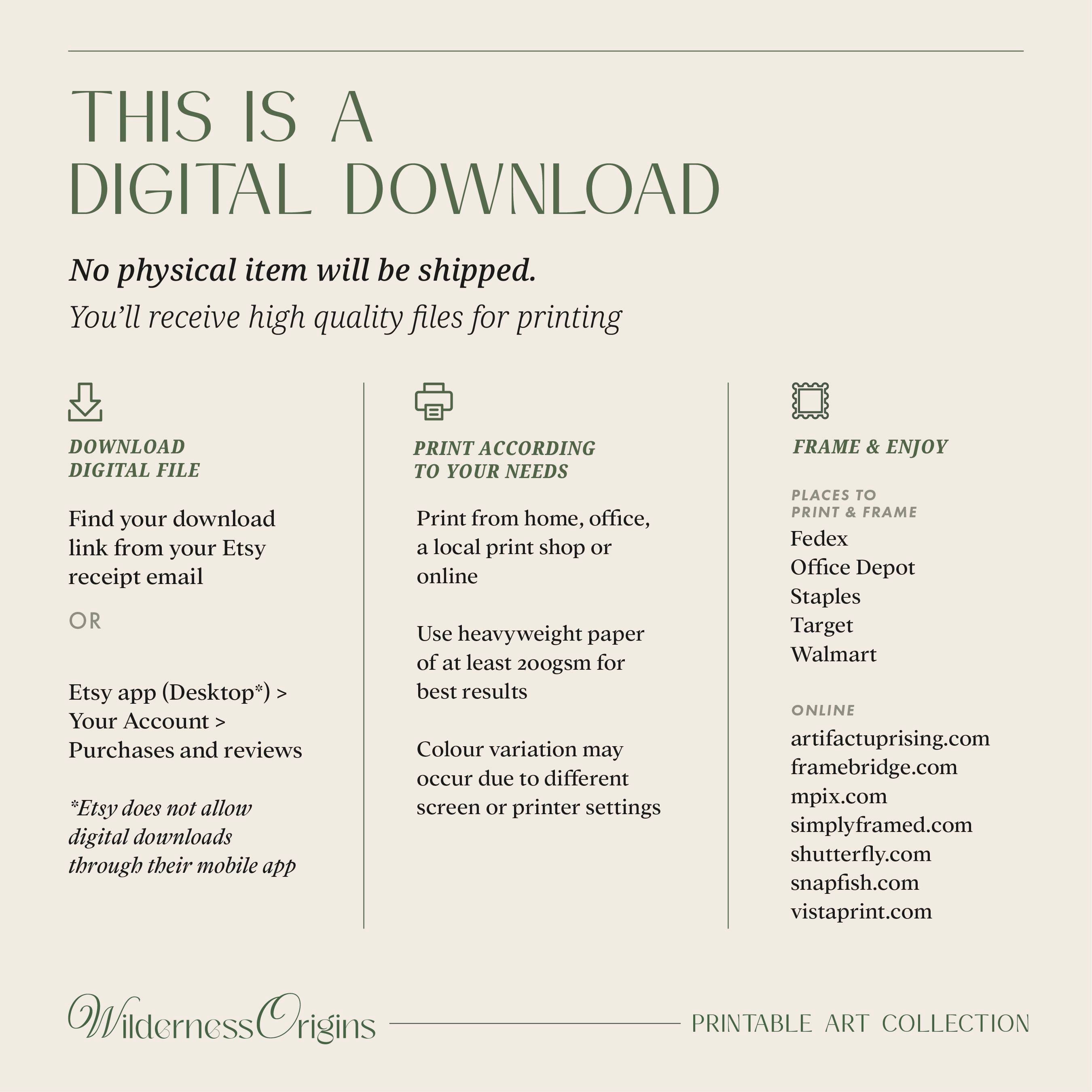 White Spider, Winged Beetle and Stag Beetle With Florals / Set of 3 ...