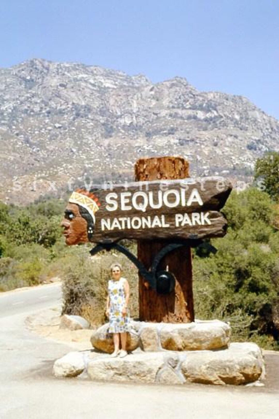 Vintage 1964 Photo Slides, Sequoia National Park, Lot of 9 - Etsy