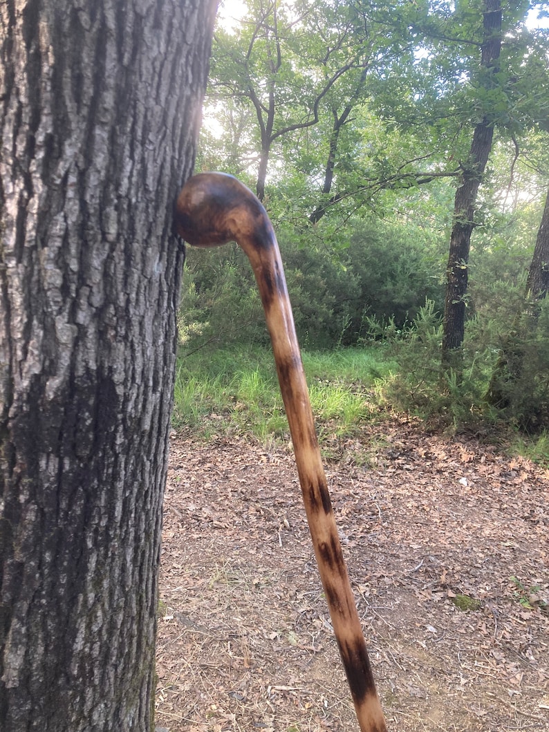 Perfect, One-of-a-kind Mace Walking Sticks Made From a Single Branch ...