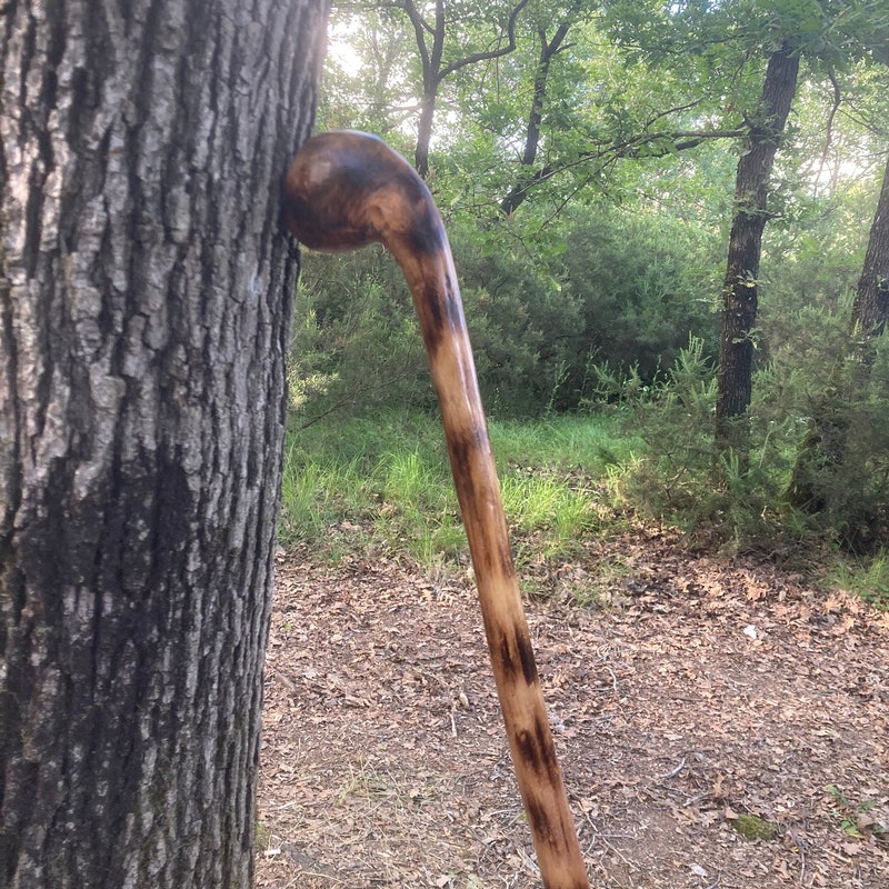 Skull Walking Stick - Etsy