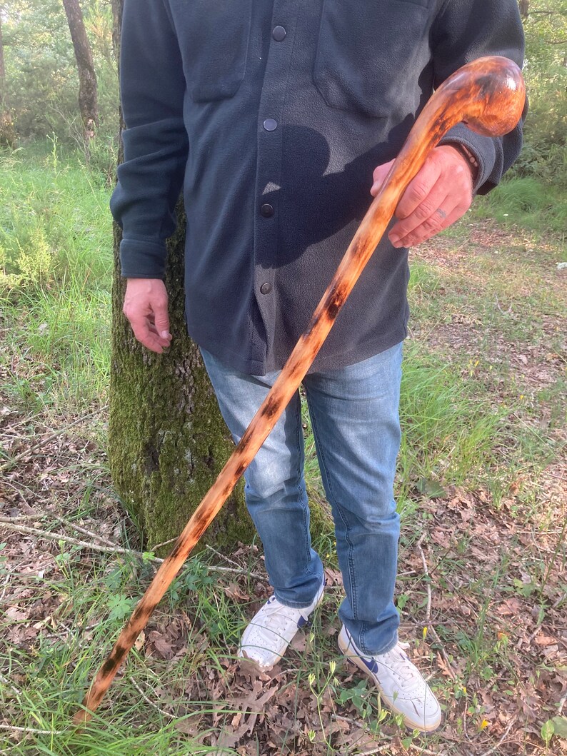 Perfect, One-of-a-kind Mace Walking Sticks Made From a Single Branch ...