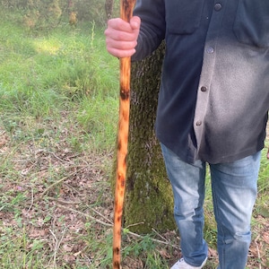 Perfect, One-of-a-kind Mace Walking Sticks Made From a Single Branch ...