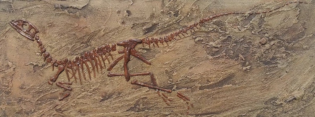 Original Artwork: Dinosaur Fossil Art - Lesothosaurus - Etsy