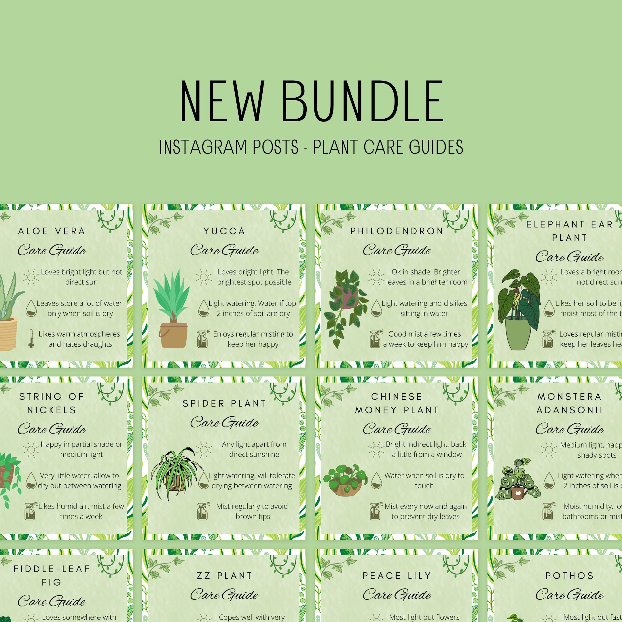 30 Canva Plant Care Guides Instagram Feed & Stories Content Social ...