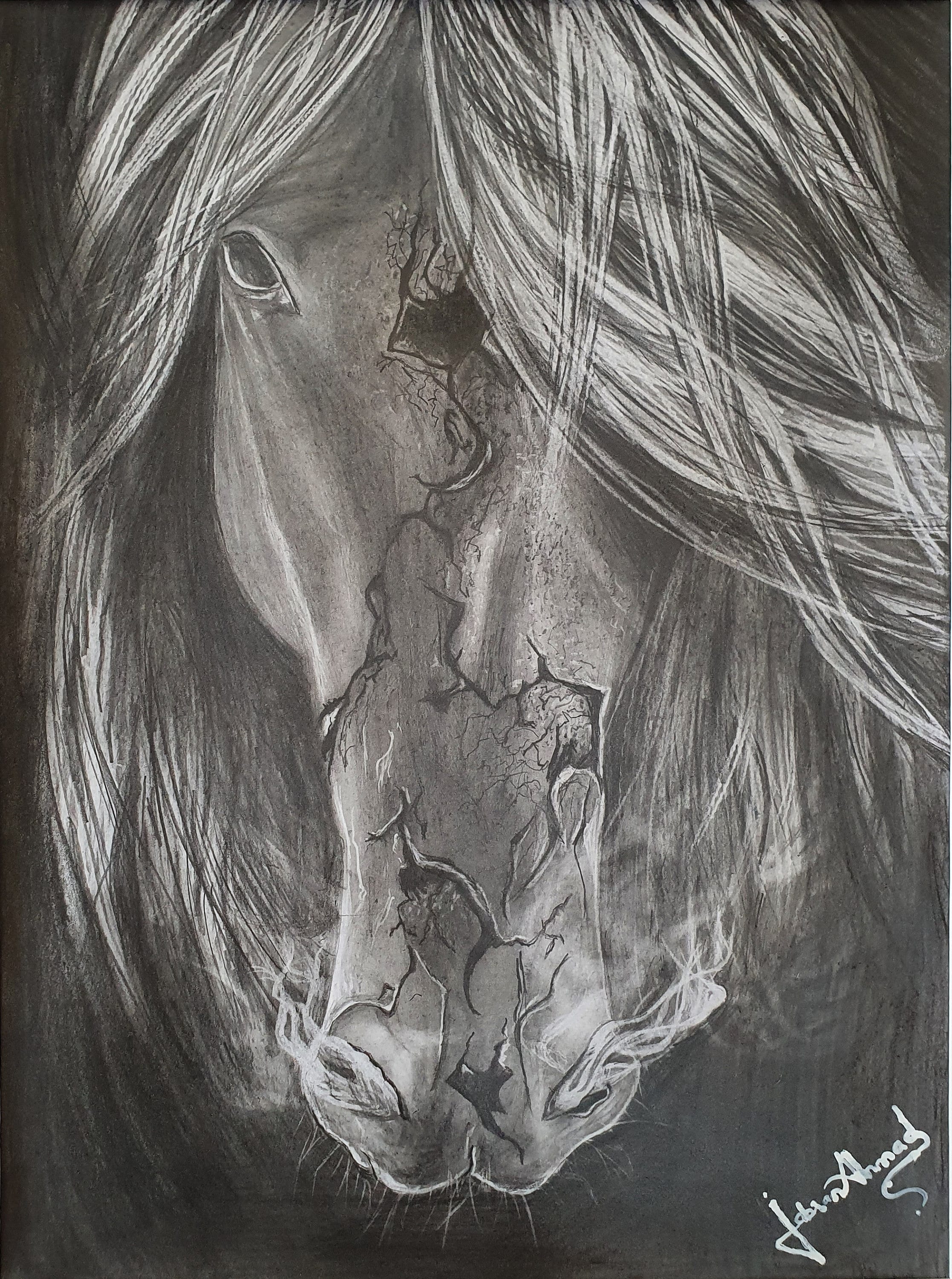 Graphite art store