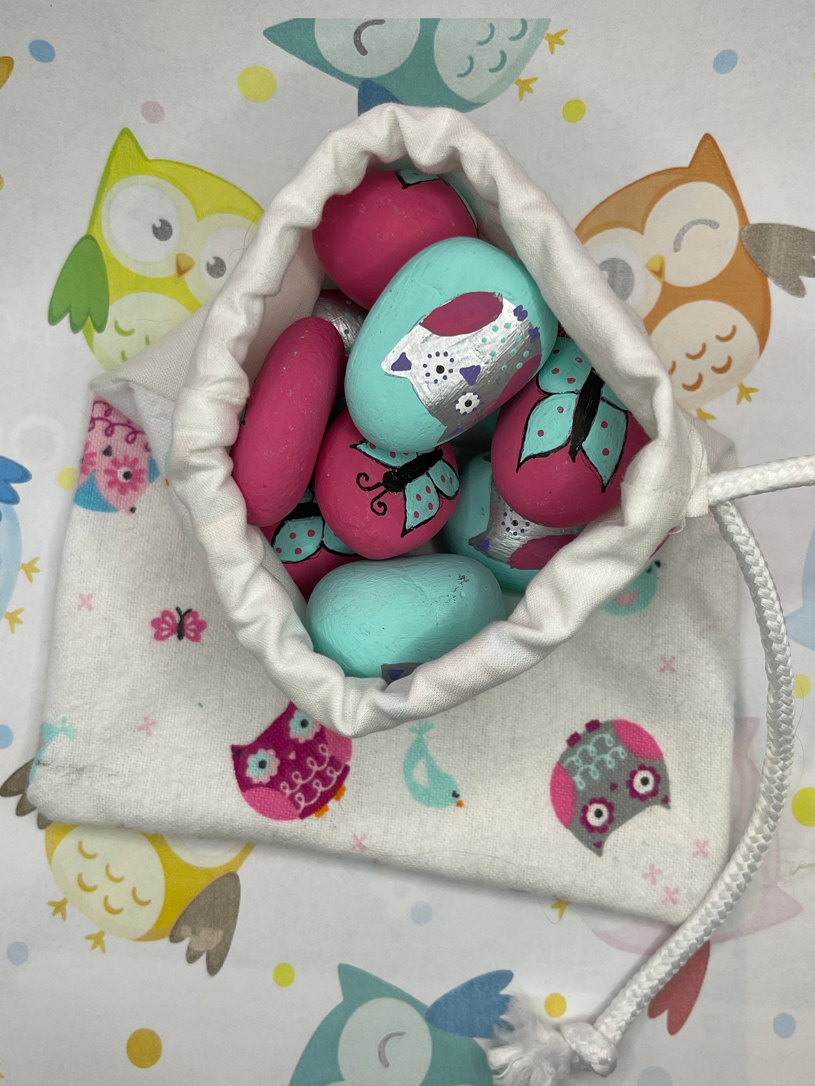 Hand Painted Rocks Sewn Lined Drawstring Bag Cute Owl and - Etsy