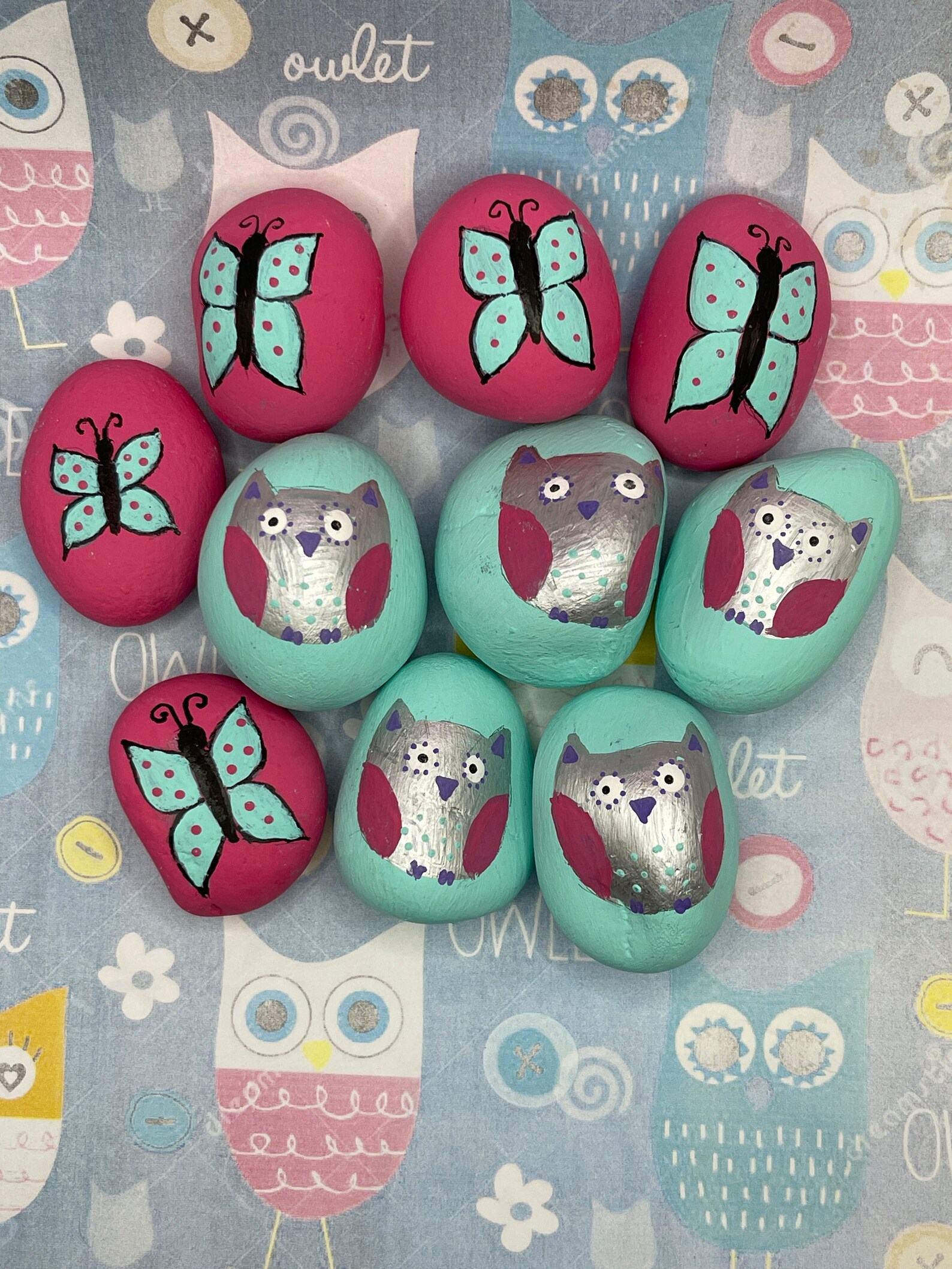 Hand Painted Rocks Sewn Lined Drawstring Bag Cute Owl and - Etsy
