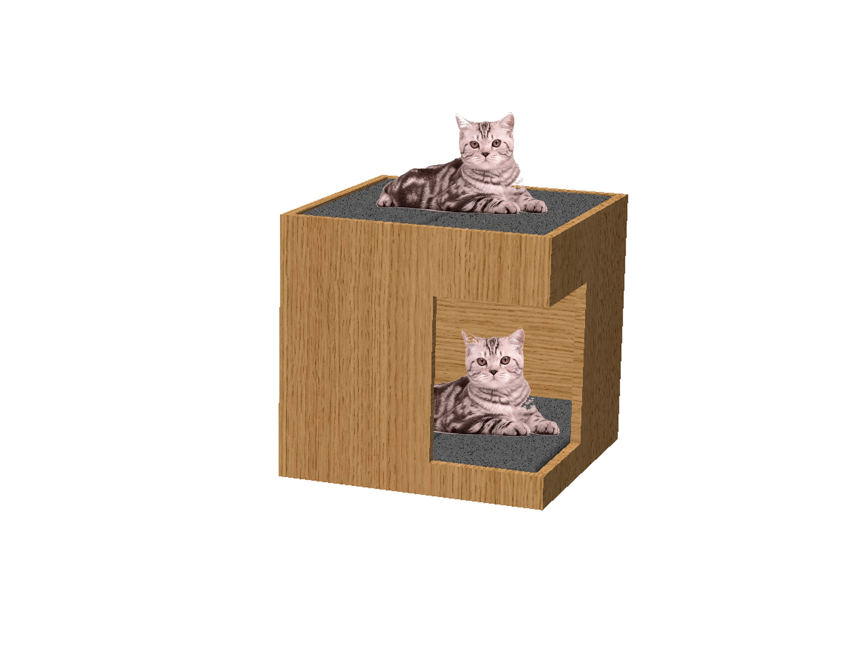 Ped Bed Plan/animal Bed Plan/bunk Bed Plan/dog Bed Plan/bed - Etsy