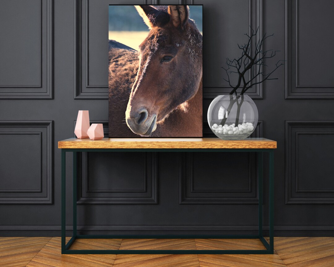 Mule Digital Download- Mule Wall Art- Farm Animals Printable Art ...