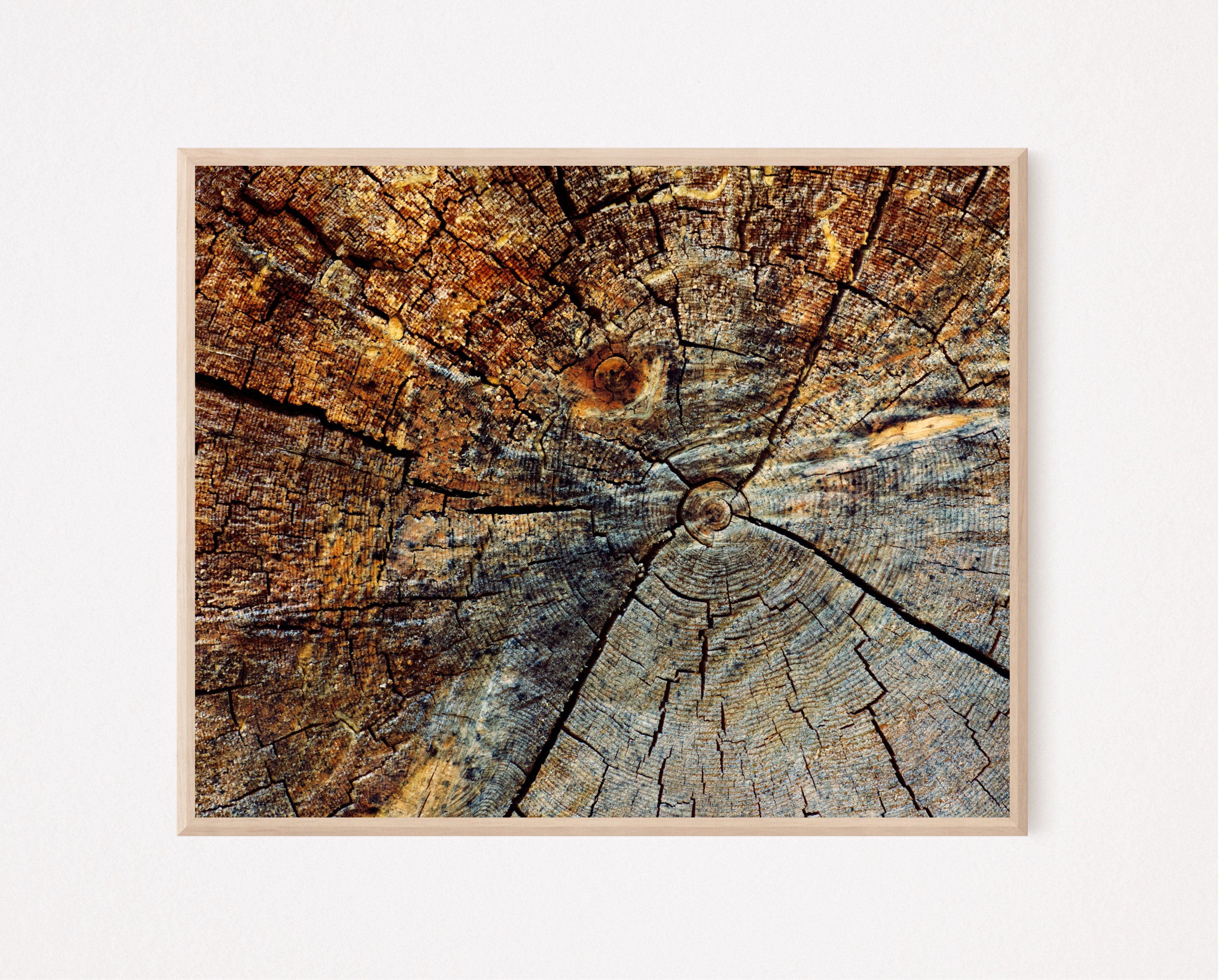 Wood Grain Digital Download- Forest Photography- Wood Photography- Wood ...