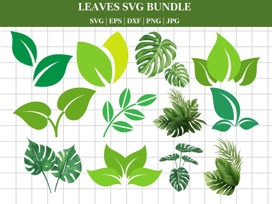 LEAF SVG Bundle, LEAVES Svg Bundle, Leaf Clipart, Leaf Svg Cut Files ...