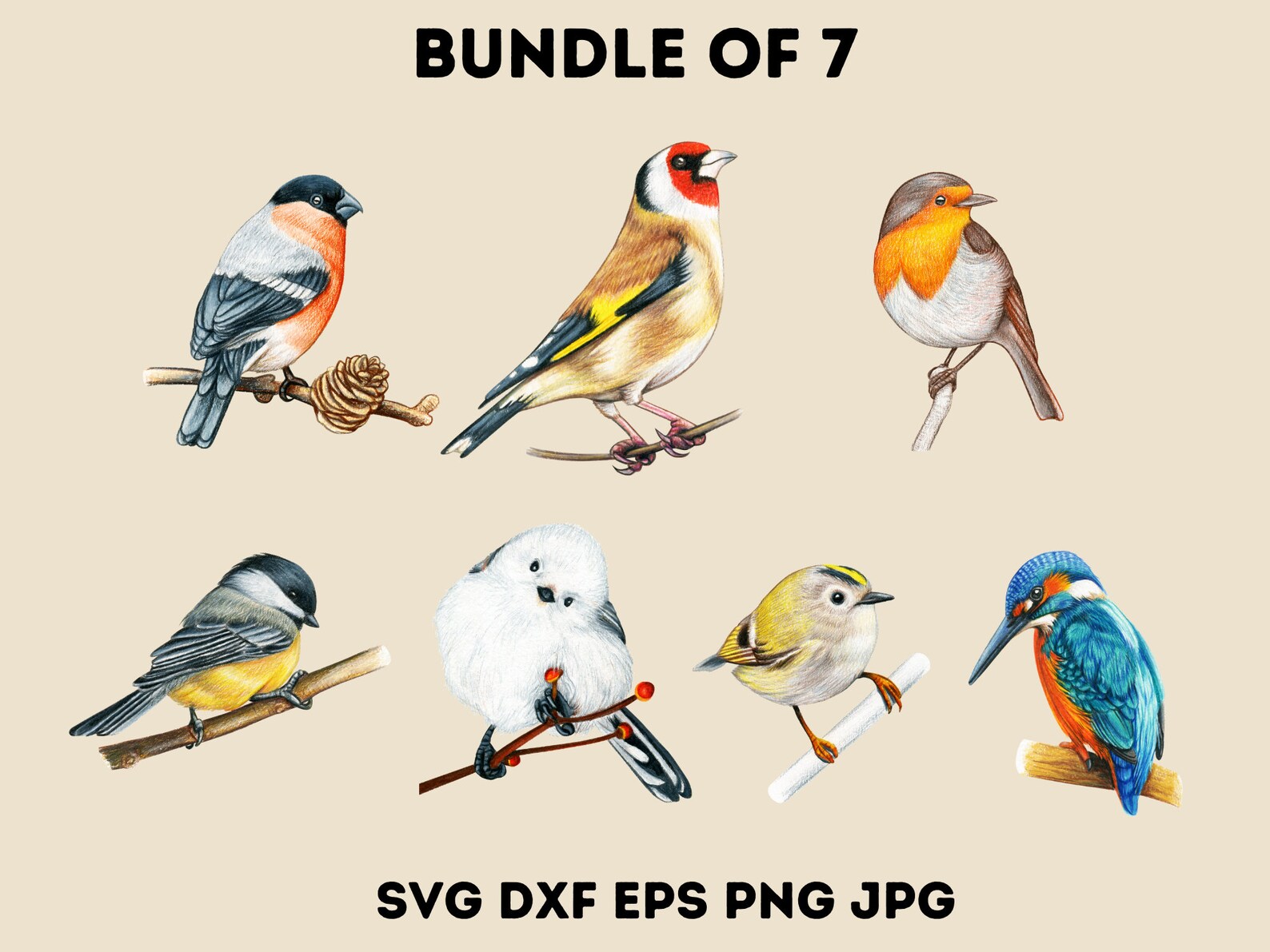Vogel svg, Vogel svg Dateien, Vogel svg, Vogel svg, Vogel svg, Vogel ...