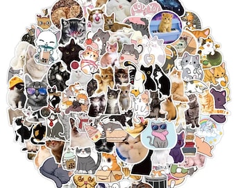 Fluff You Madafaka Black Cat STICKER Waterproof Vinyl Die Cut - Etsy