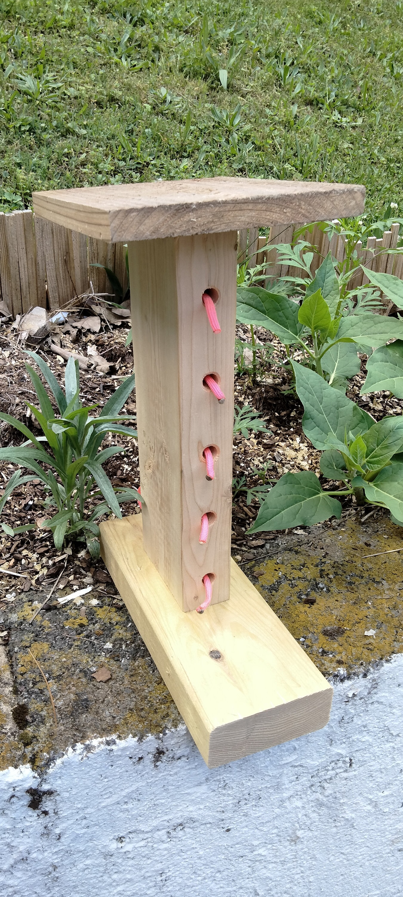 Crow Enrichment Feeder - Etsy