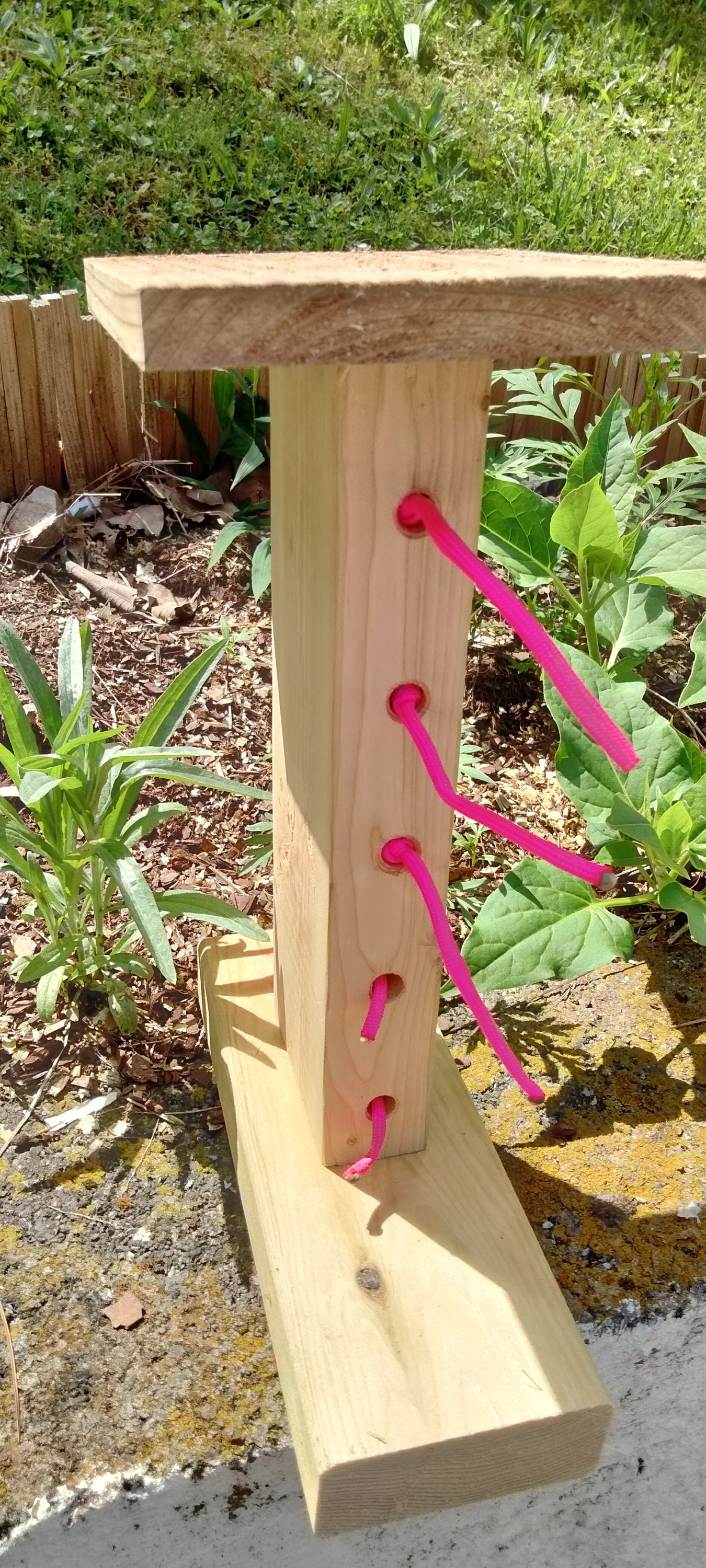 Crow Enrichment Feeder - Etsy
