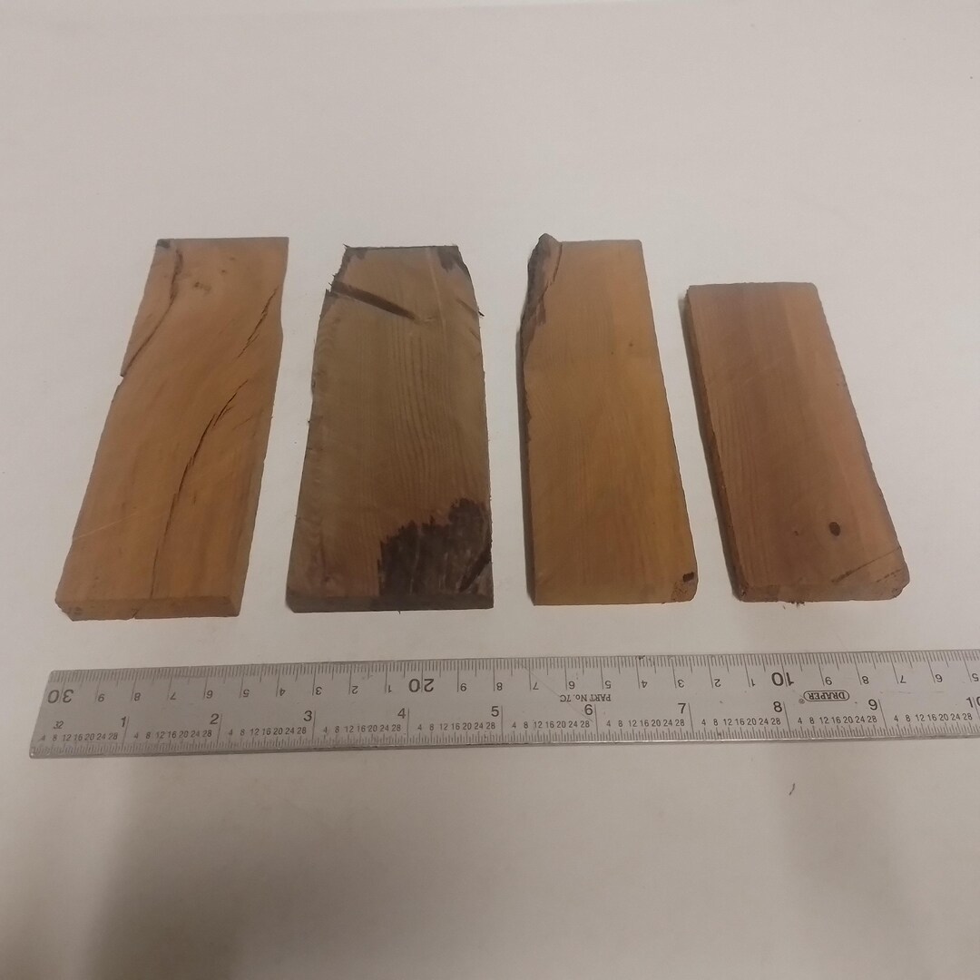 4 Pieces of Irish Bog Yew Wood Sizes Relative to Scale Rule - Etsy