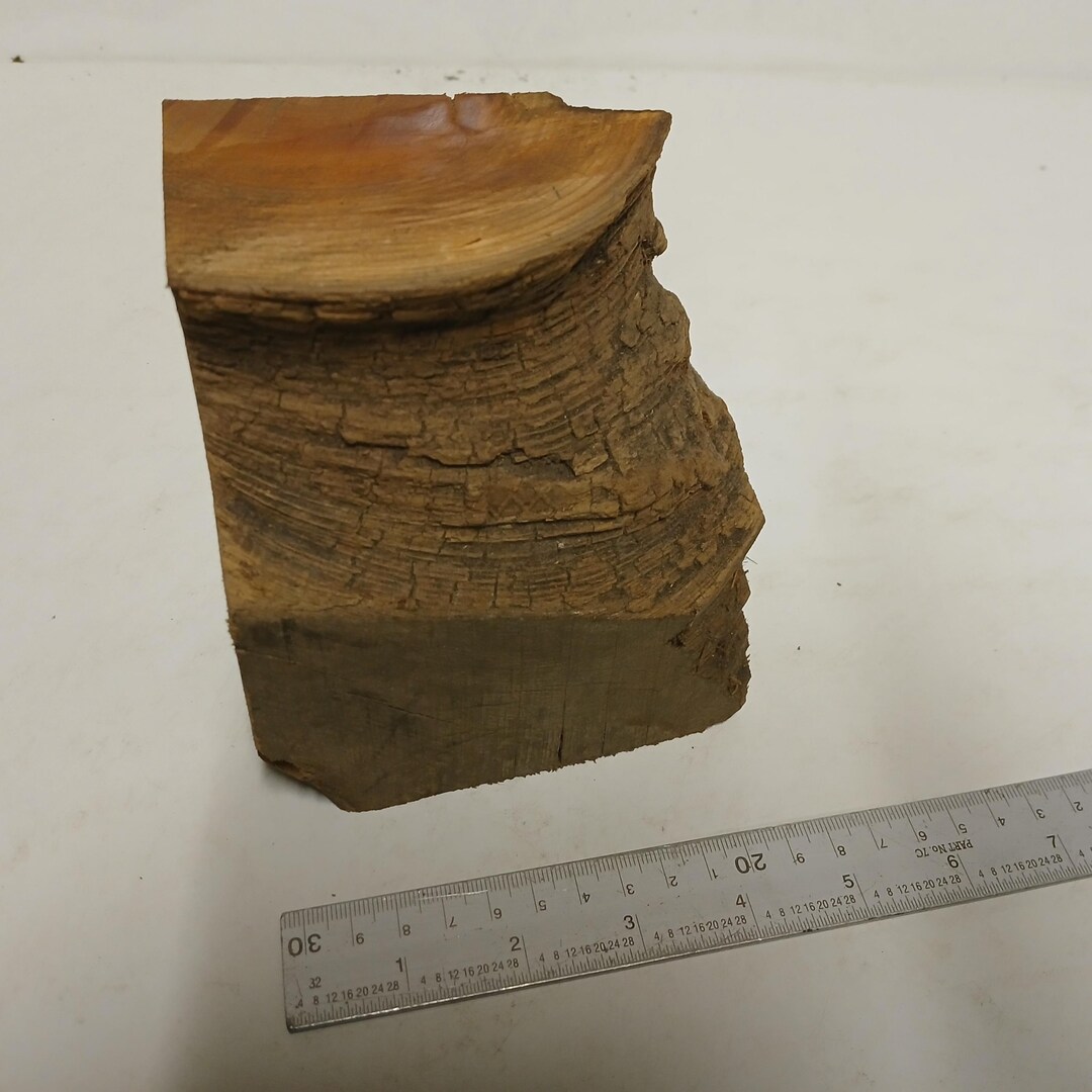Irish Bog Pine Wood Burl Piece (4x5x2'') Jewelry Making - Etsy