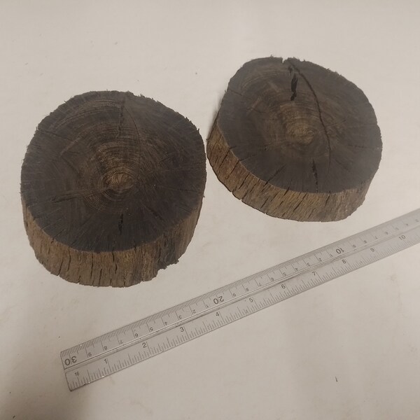 Oak Wood Slice - Etsy