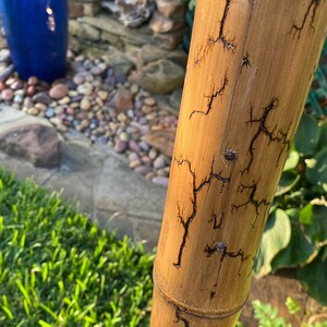 Red Dawn Rainstick Bamboo Wooden Drum Music - Etsy