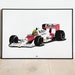 Ferrari F2004 Poster Racing Icons: Formula One Wall Art - Etsy Canada
