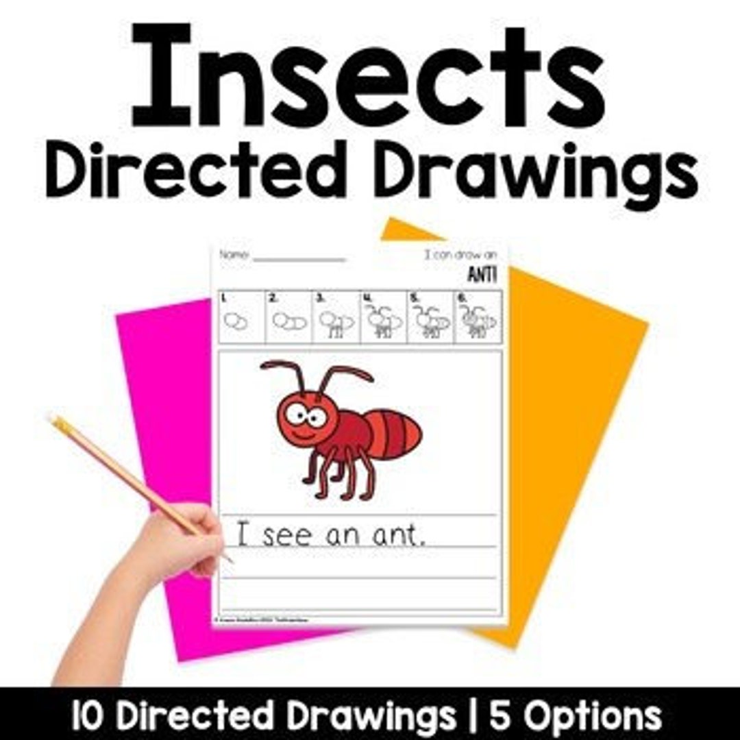 Insect Directed Drawings | Bugs | Spring - Etsy