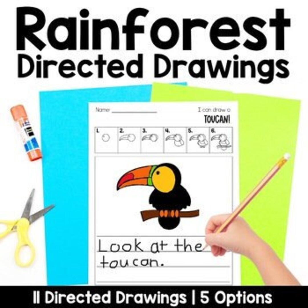 Rainforest Directed Drawings - Etsy