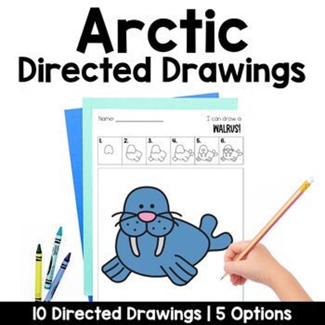 Arctic Animals Directed Drawings | Winter - Etsy