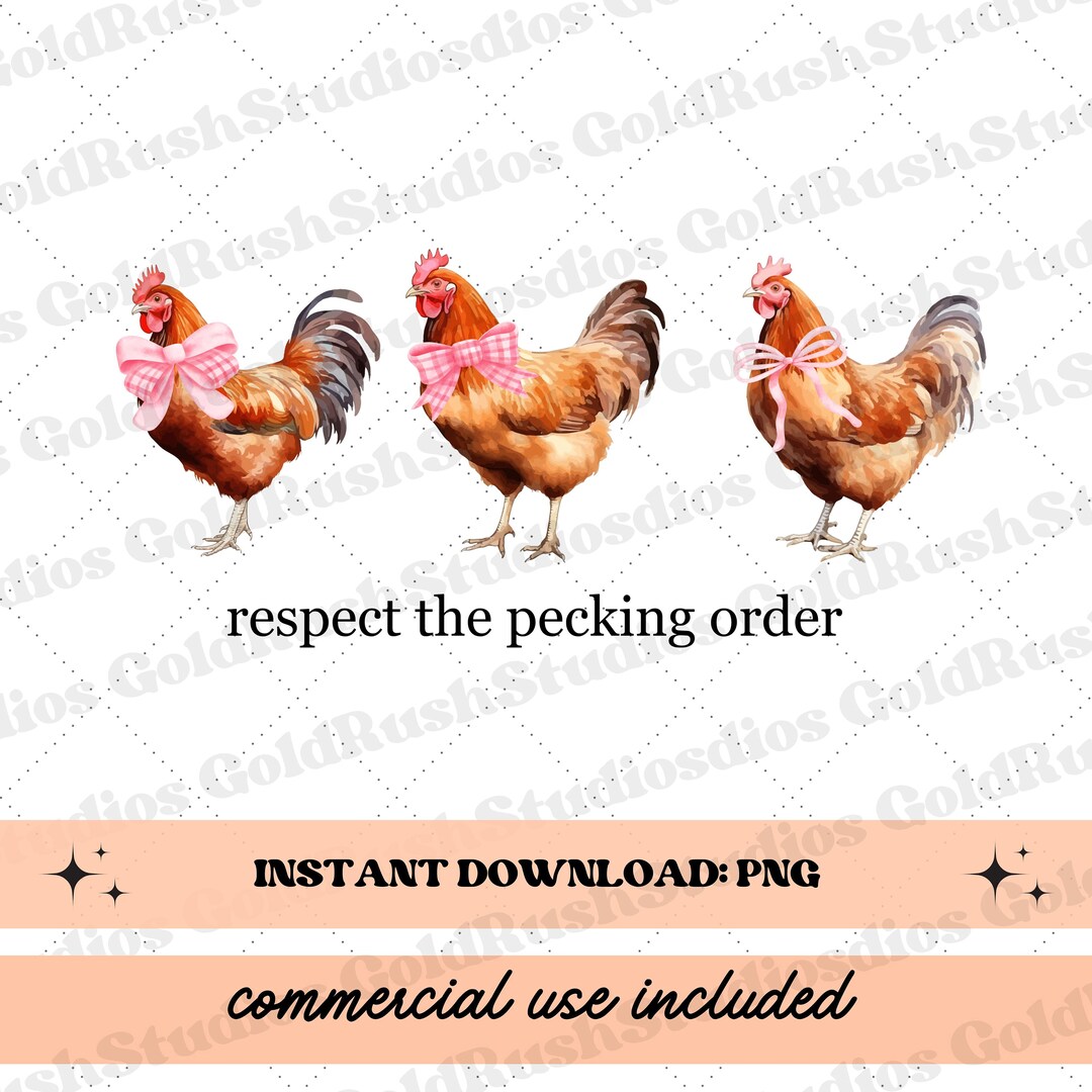 Chicken PNG, Coquette Clothes respect the Pecking Order Chicken ...