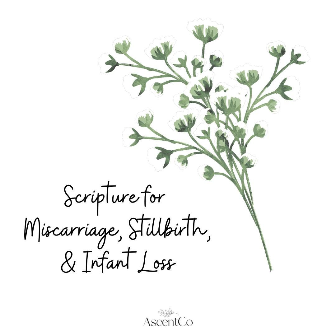 DIGITAL DOWNLOAD Scripture Cards for Miscarriage, Stillbirth, & Infant ...