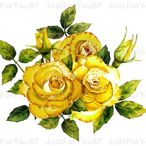 Yellow Roses Clipart Watercolor Flower Clipart Yellow Roses - Etsy