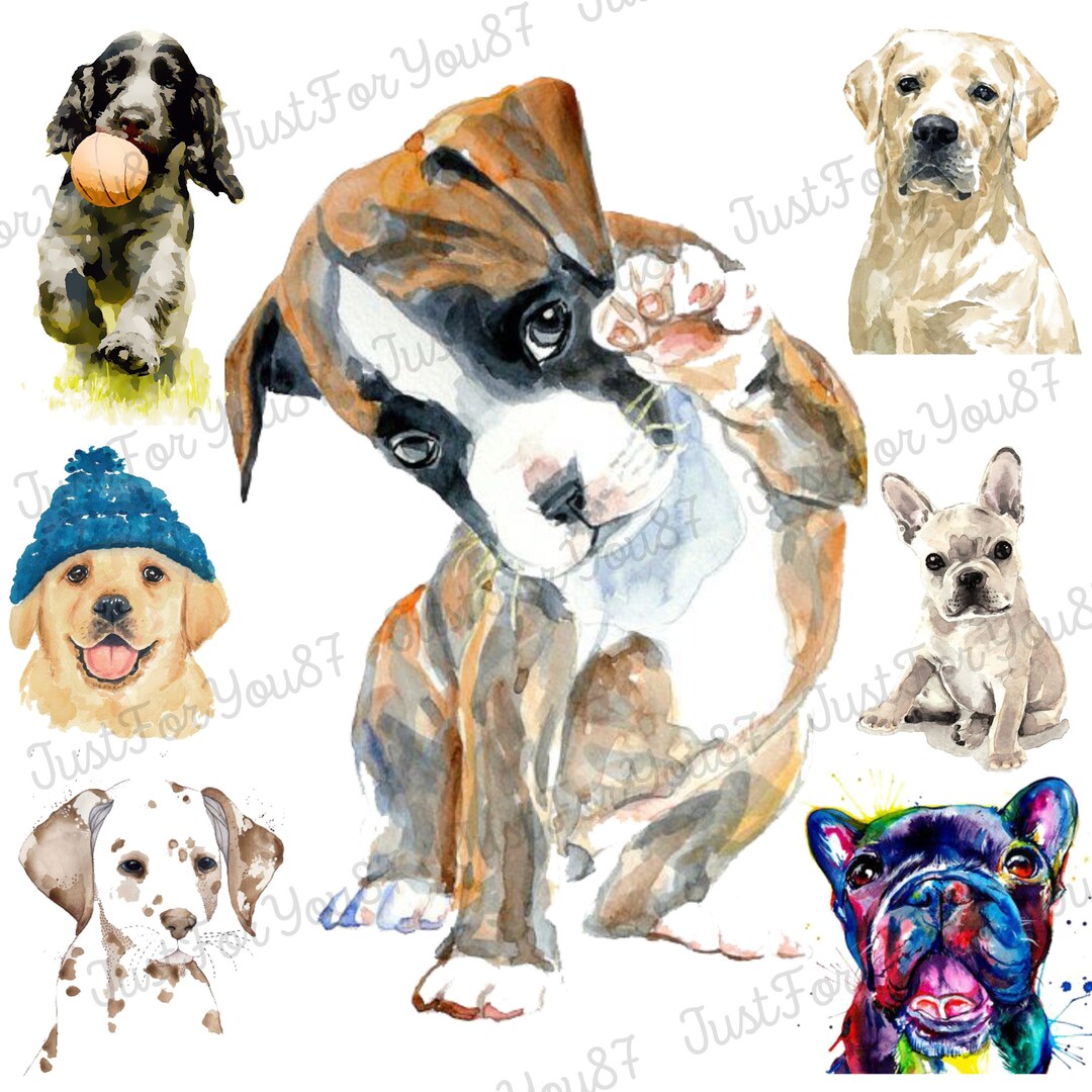 Dog Svg, Dogs Colourful Png, Dog Cricut Machine, Colourful Pet, Pop Art ...