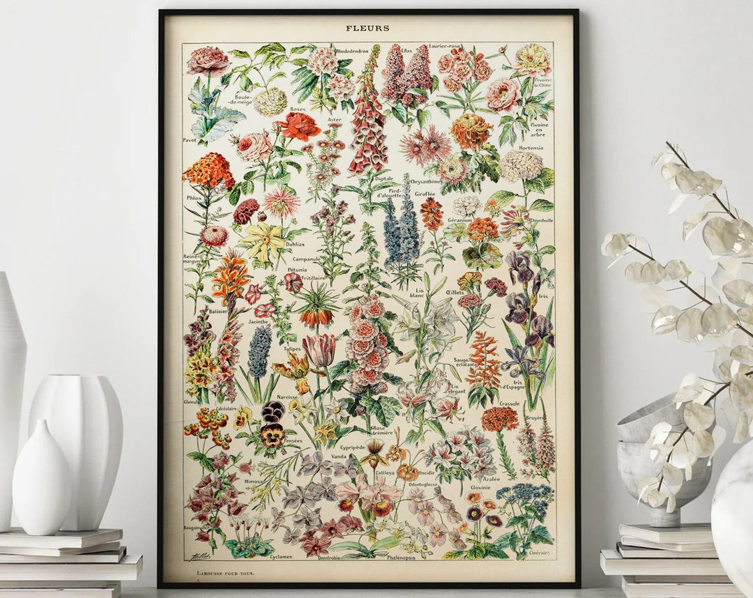 Flowers by Adolphe Millot 1909 Adolphe Millot Poster Home - Etsy