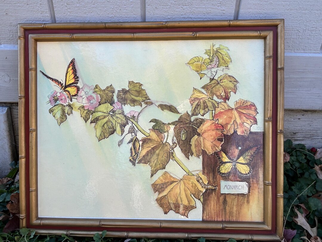 Joni Eareckson Monarch Butterlu Vintage Framed Art - Etsy