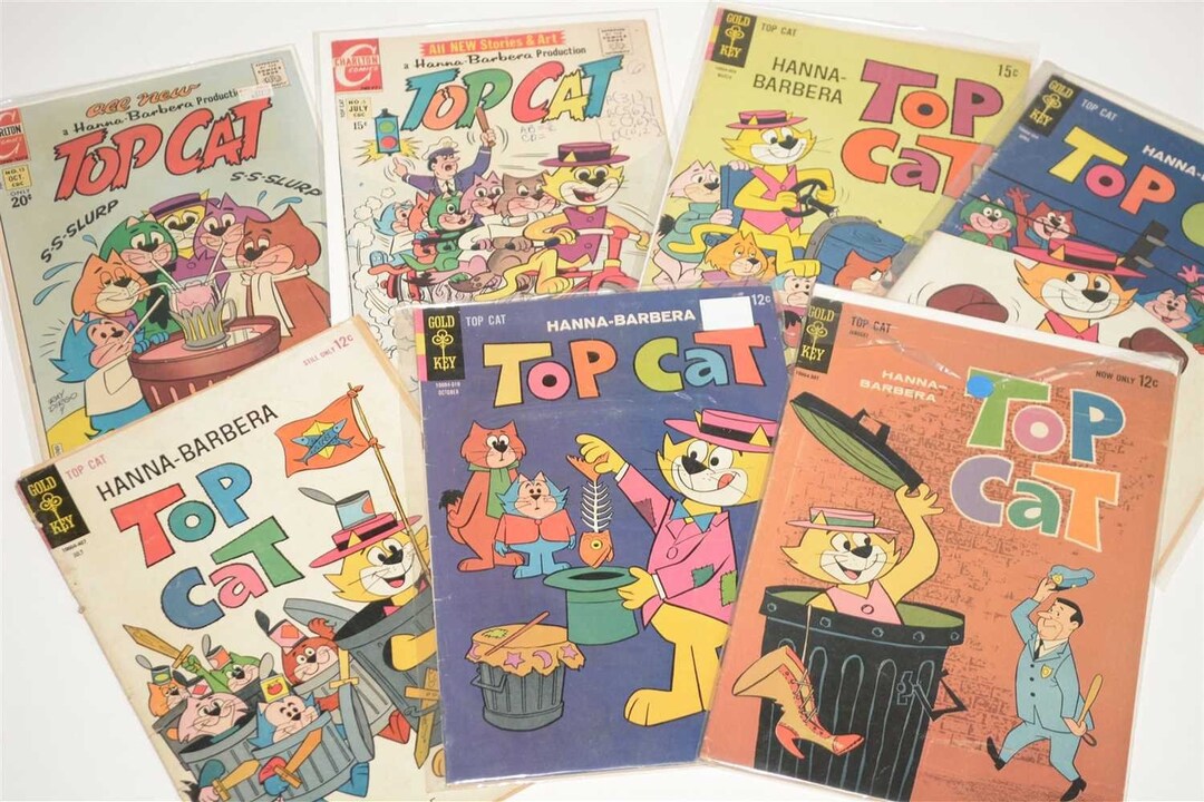 Top Cat Comics Collection 20 Issues 1970-1973 - Etsy