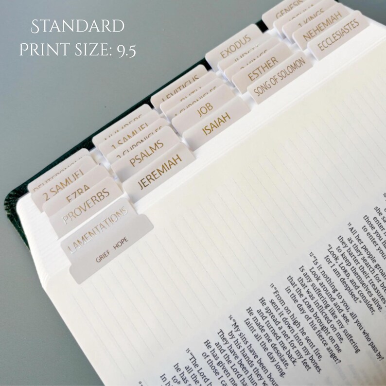 NIV Tabbed Bible for Gift for Christian Devotional Tabbed Holy Bible ...