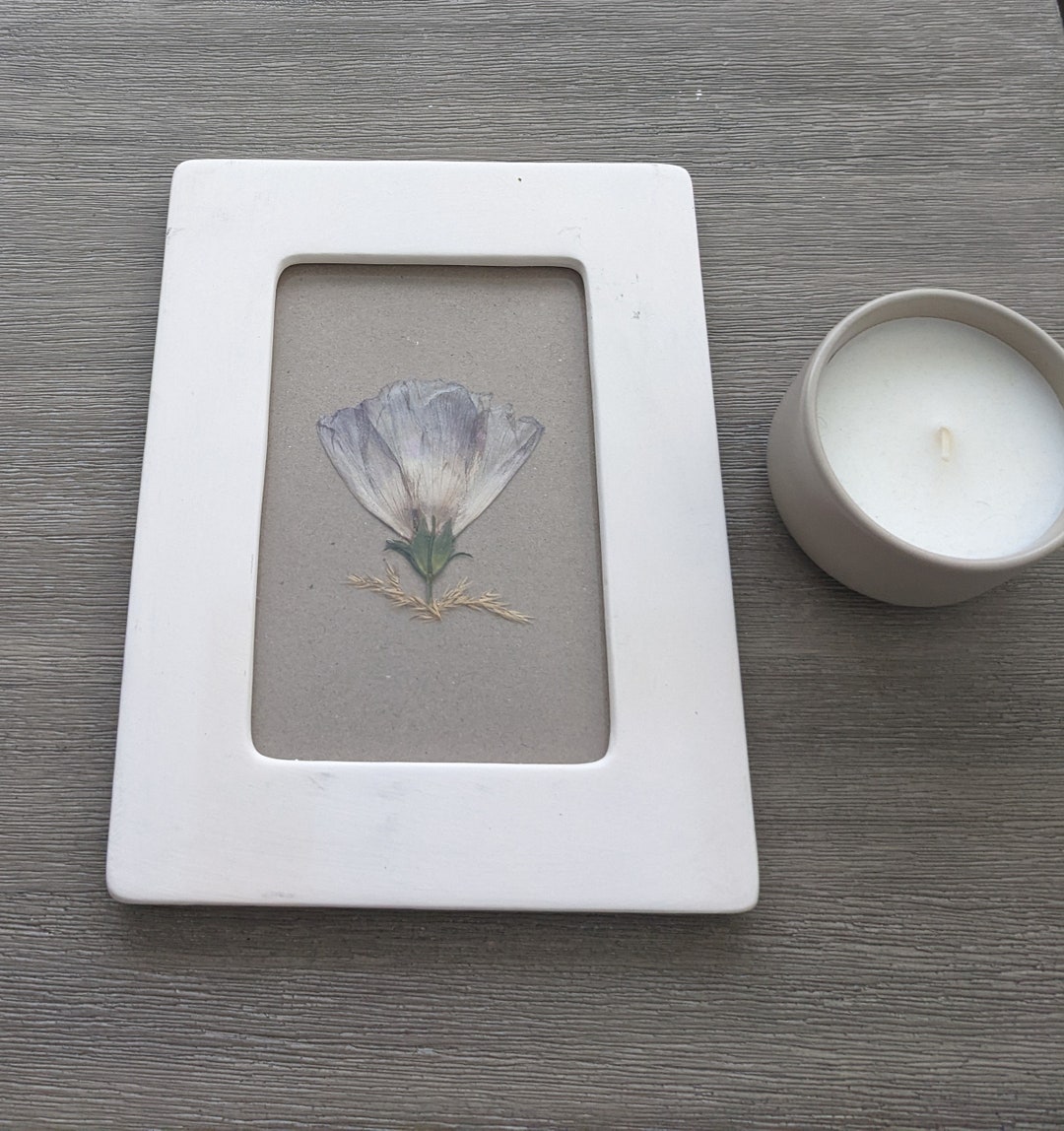 Pressed Hibiscus Flower, Cozy Room Decor - Etsy