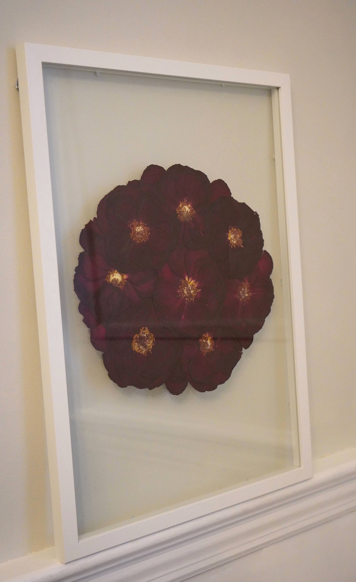 Framed Pressed Flower Herbarium 21" X 15", Unique Anniversary Gift ...