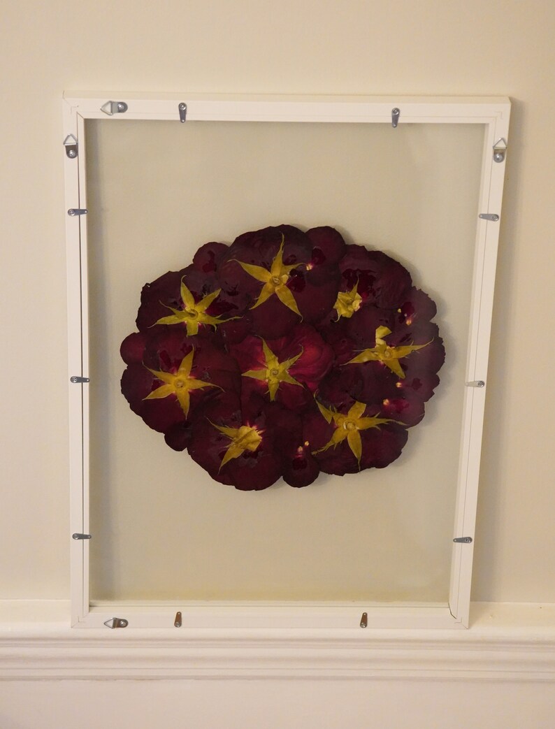 Framed Pressed Flower Herbarium 21" X 15", Unique Anniversary Gift ...