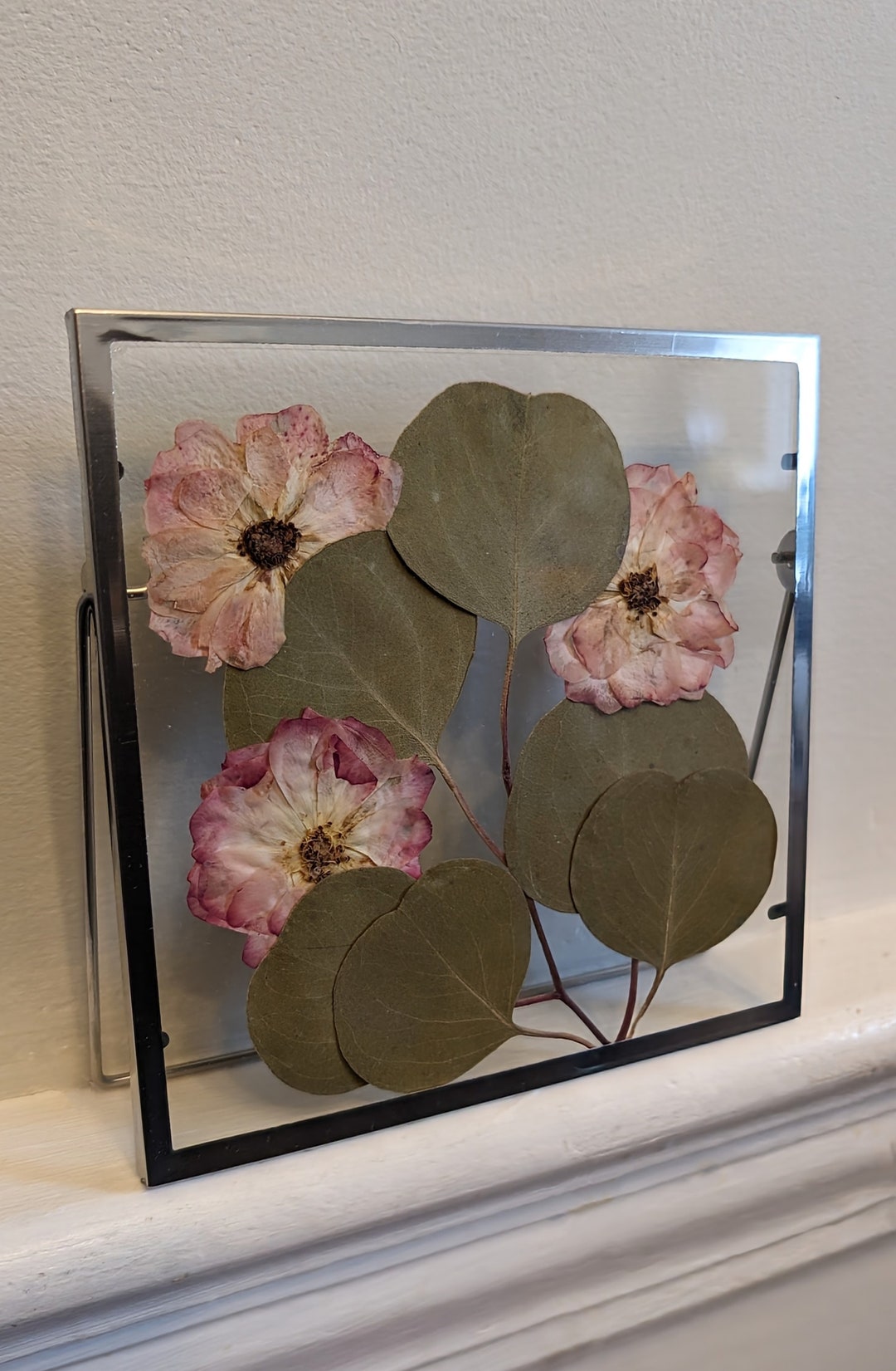 Silver Framed Pressed Roses and Eucalyptus Herbarium 4x4, Preserved ...