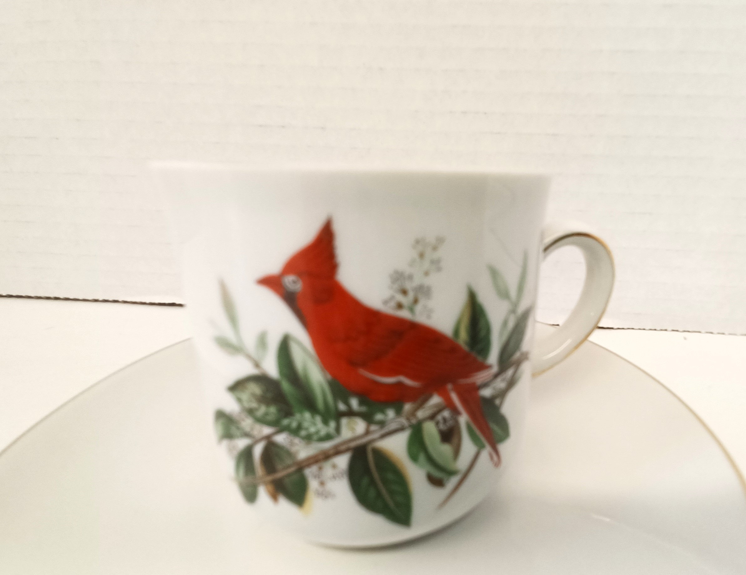 Red Cardinal Demitasse Cup and Saucer by Bavaria Schumann Arzberg ...