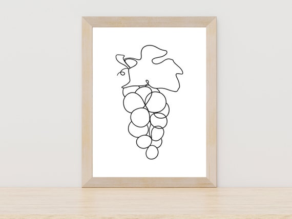 Wine Grapes Drawing