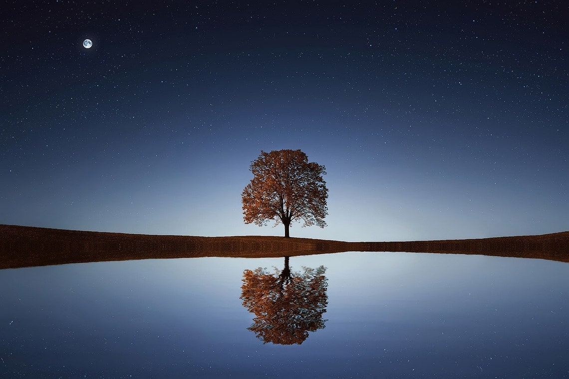 Tree Scenes Jpeg Digital for Printing - Etsy