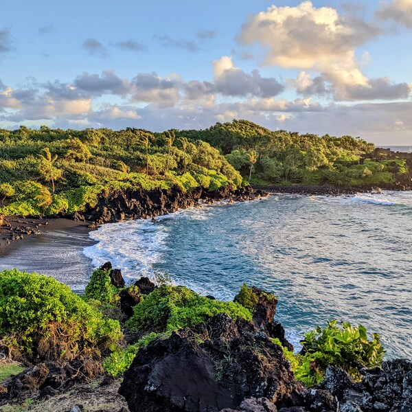 Maui Beach - Etsy