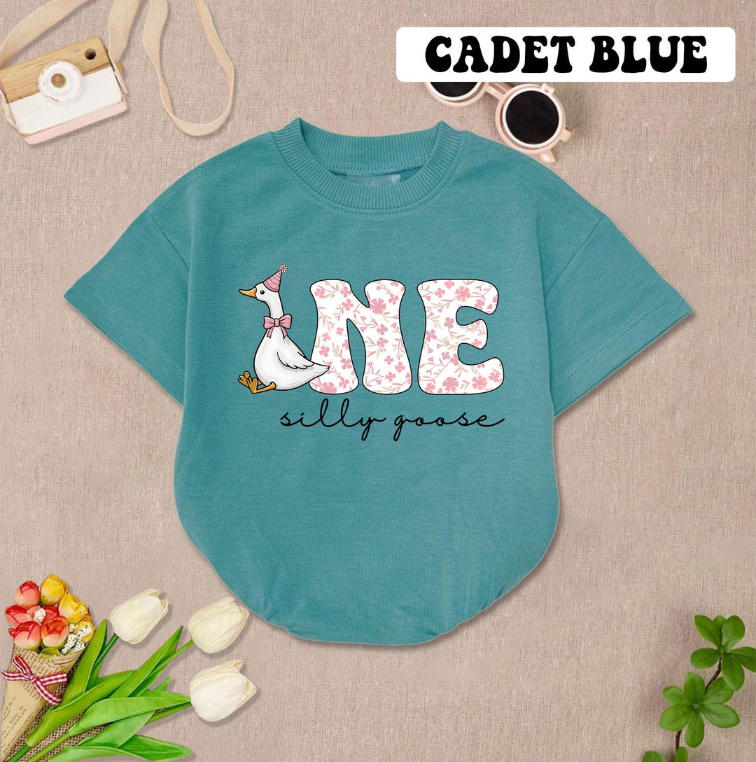 One Silly Goose 1st Birthday Baby Romper Short Sleeves, Silly Goose ...