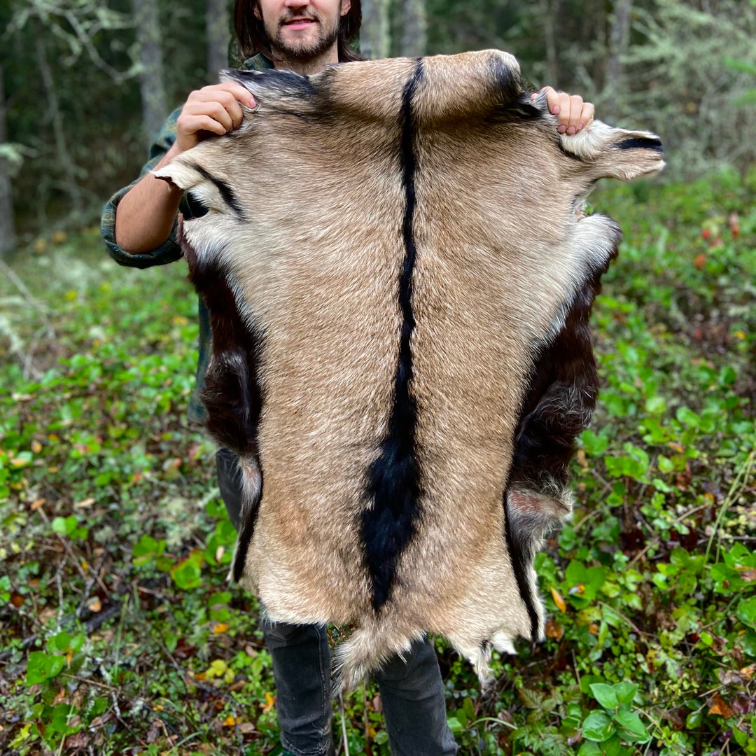 Bark Tanned Goat Hide, Goat Fur - Etsy