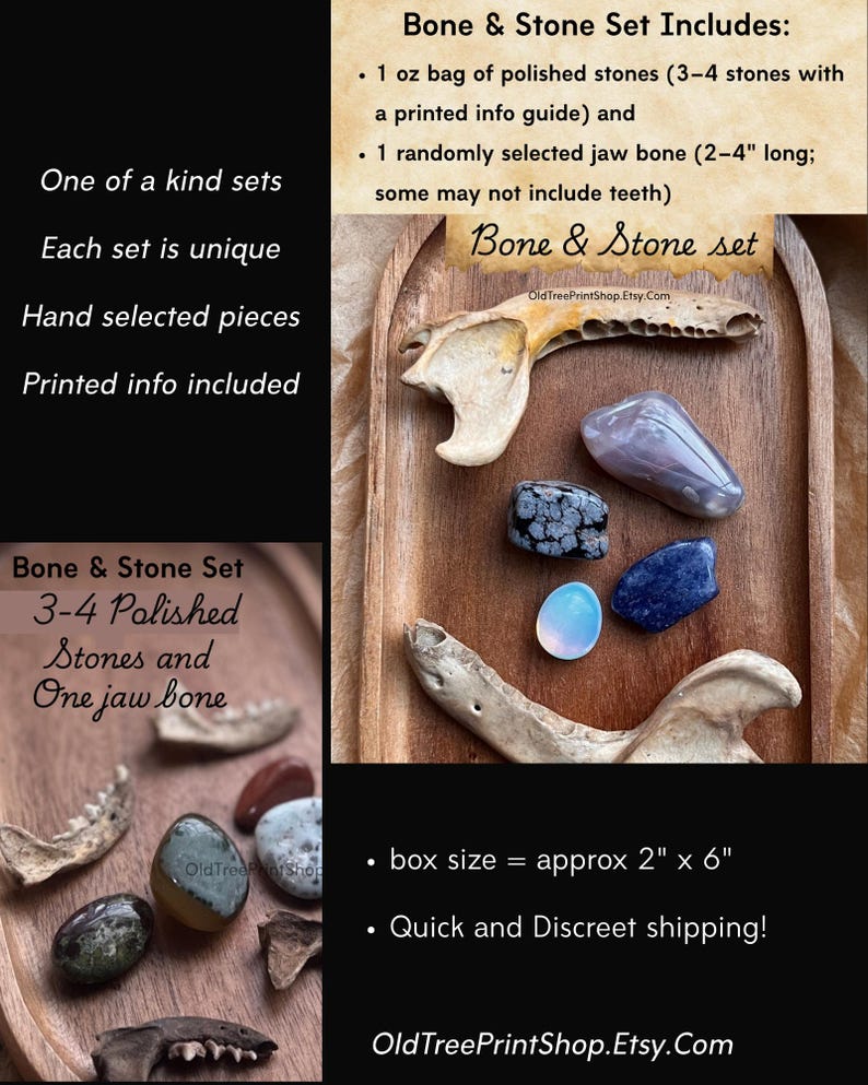 Witch Witchcraft Small Witch Kit Gift Oddity Curio Surprise Gift Set ...